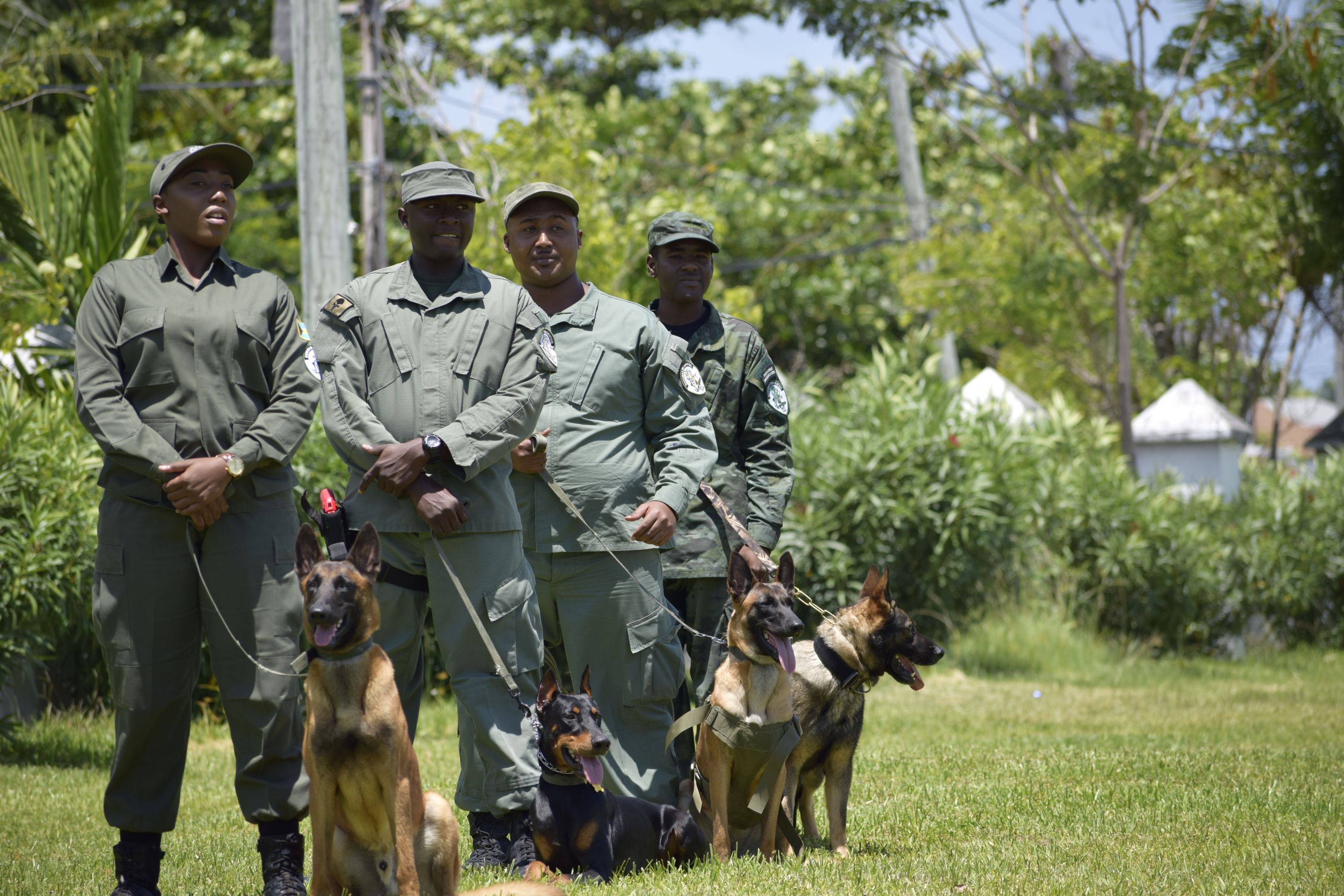 _DSC0247 – Bahamas Immigration